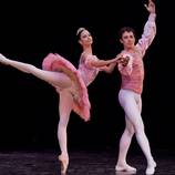 Portal Cubarte - Ballet Nacional de Cuba celebrará con gala especial el ...